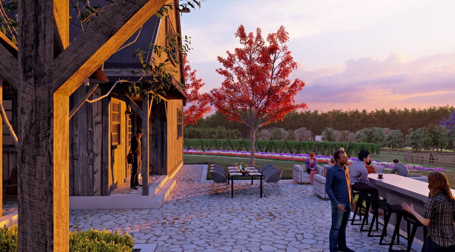 Design Videos - LORAX Design Group