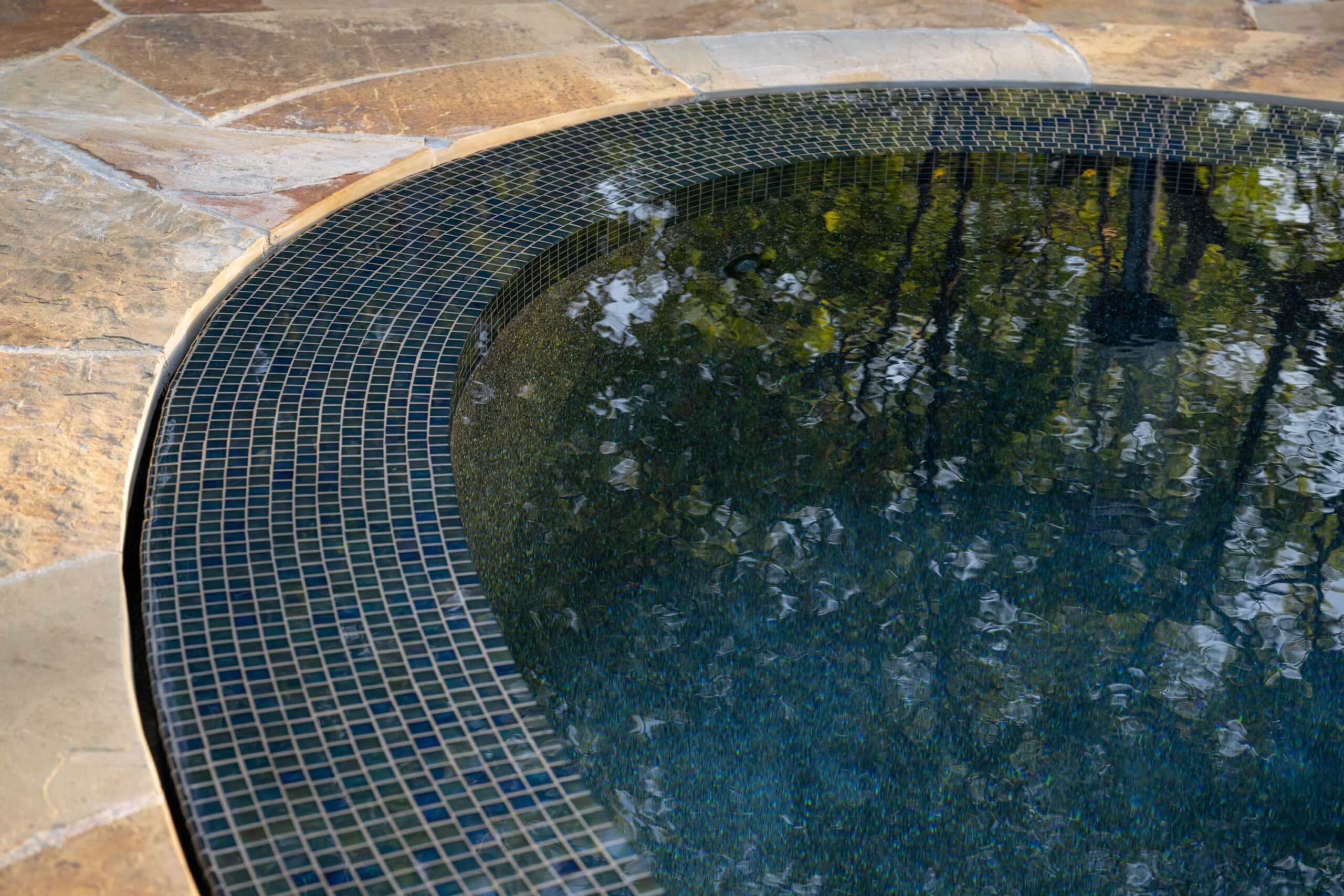 Jacob Residence - LORAX Design Group